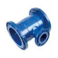 TE FONTE BRIDES PN10 DN300/300 - Demussi